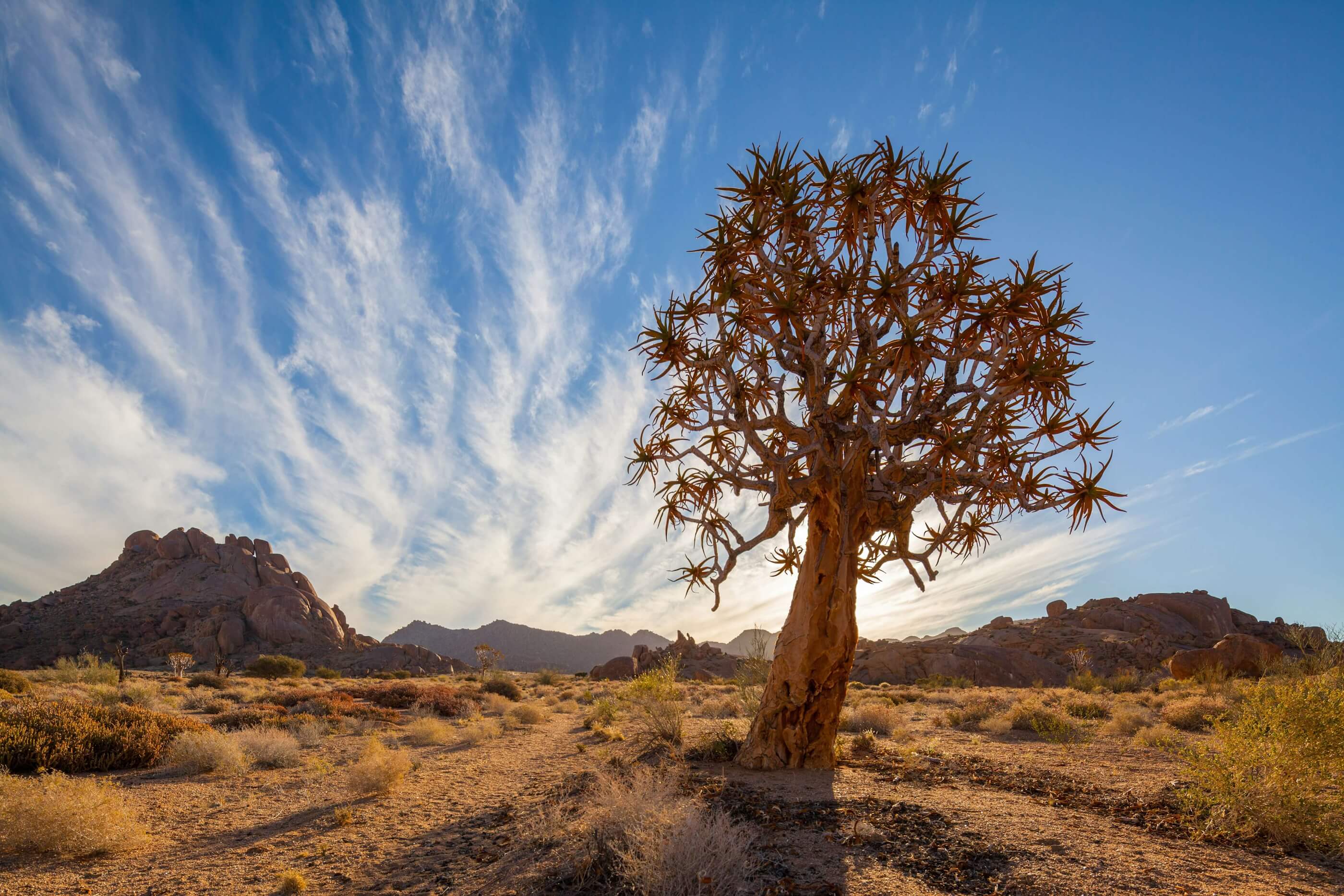 Discover Northern Cape's Hiking Trails - SA Hikes