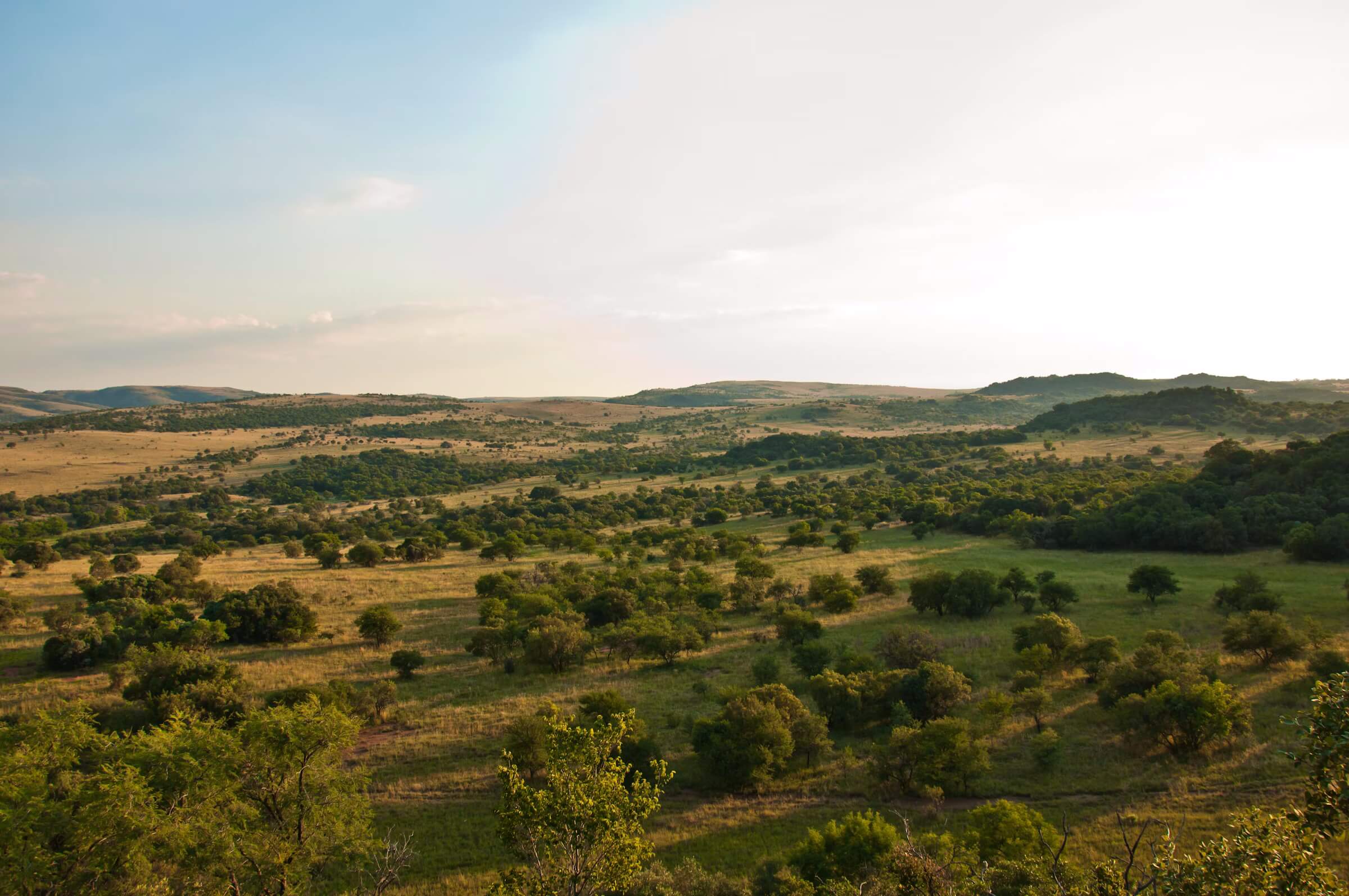 B'sorah Luxury Tent - SA Hikes
